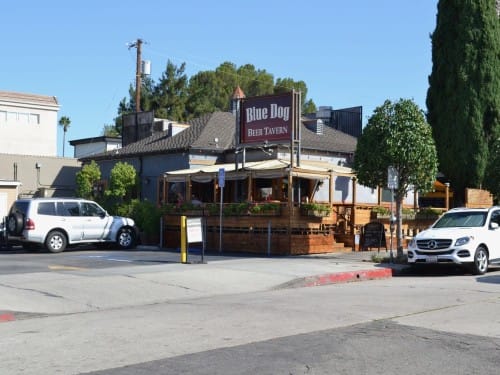 Blue Dog Beer Tavern Debuts in Sherman Oaks - Food GPS