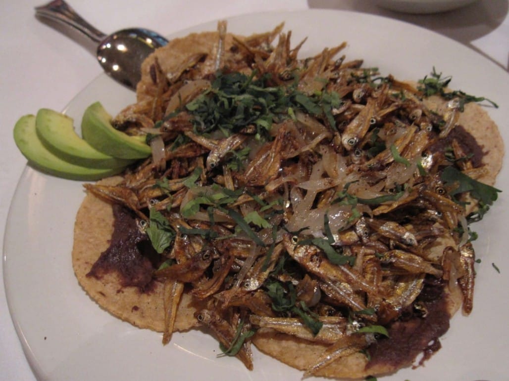 Contramar: For (and Against) the Sea in Colonia Roma