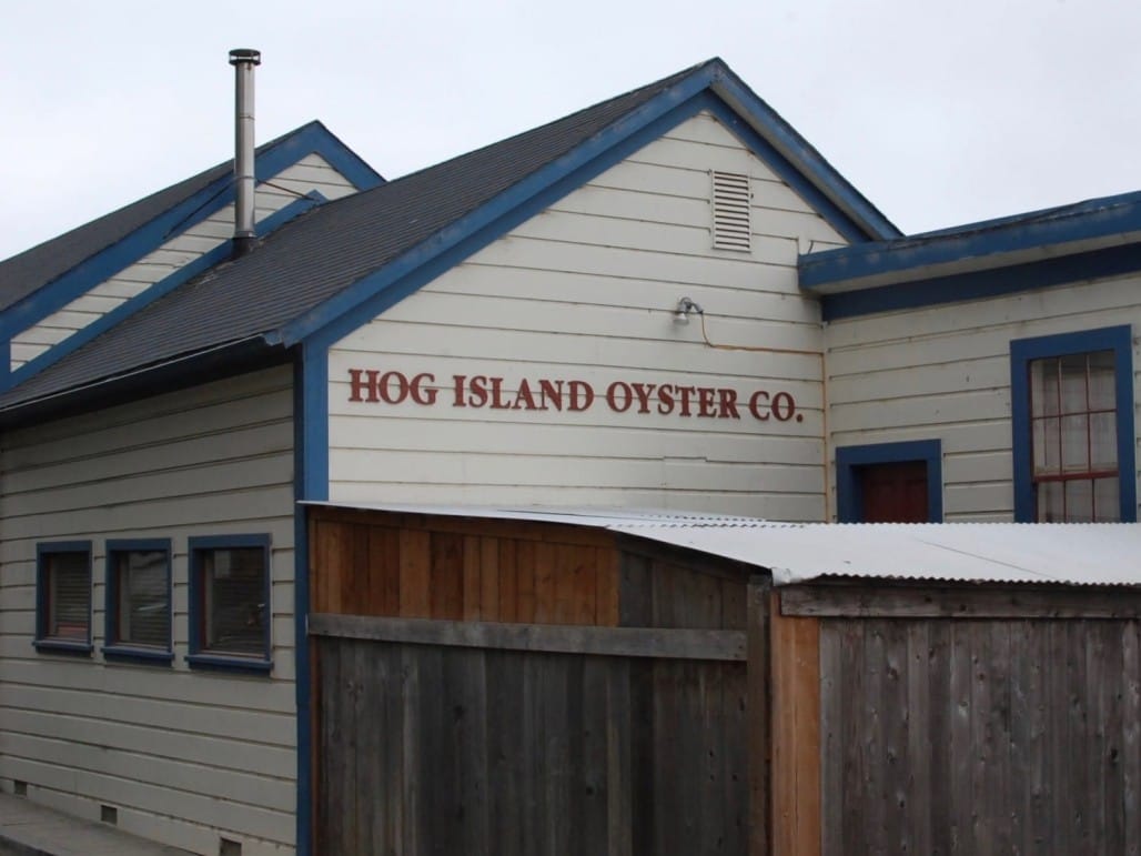 Hog Island Oyster Farm: Pursuing Bivalve Records at Boat