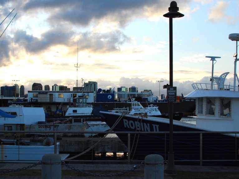 Honolulu Fish Auction: Selling Prized Catch to Highest Bidder