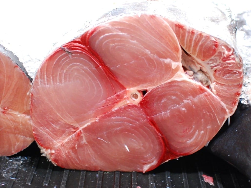 Honolulu Fish Auction: Selling Prized Catch to Highest Bidder