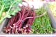 Chino Farm: Producing Flavor and Flair in Rancho Santa Fe - Food GPS