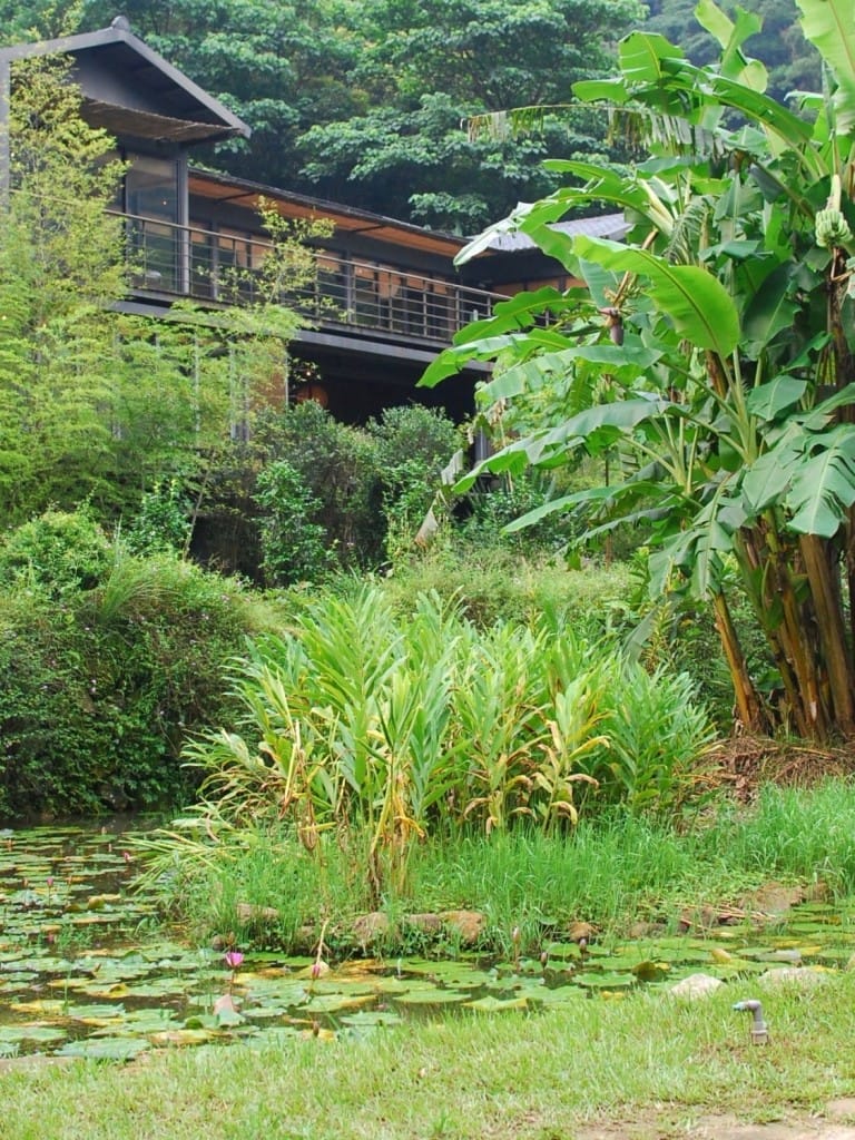 Shi-Yang: Combining Aesthetics and Cuisine in New Taipei